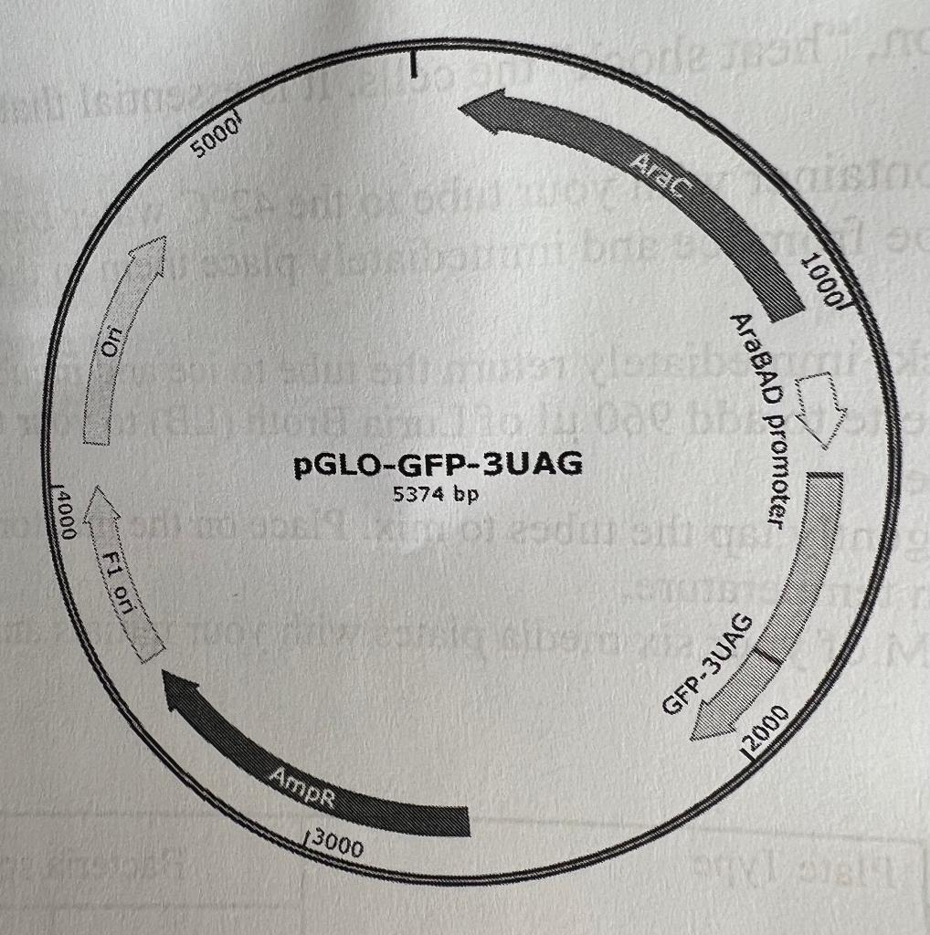 Solved Please help me to answer those following | Chegg.com