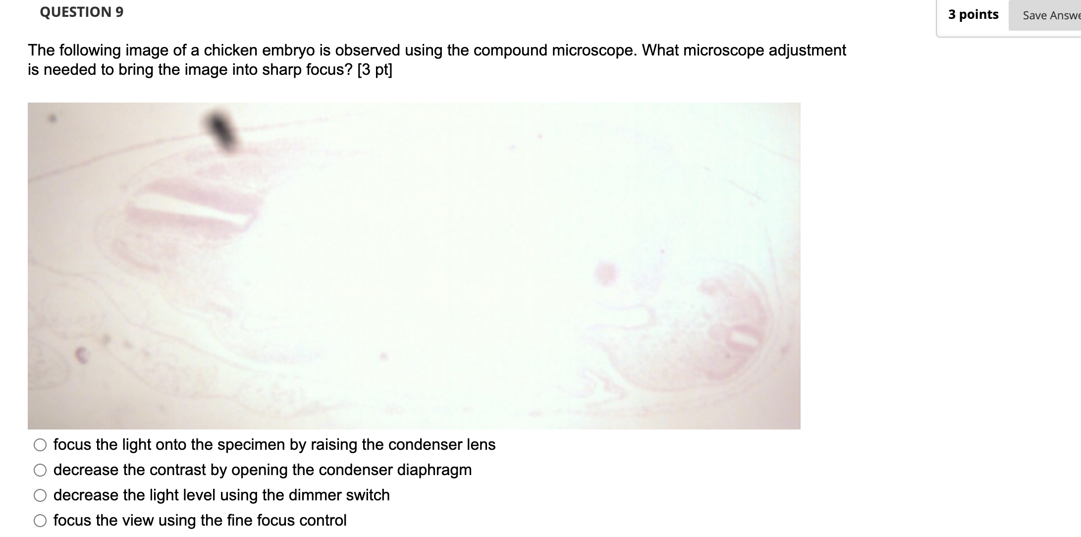 Solved The following image of a chicken embryo is observed | Chegg.com