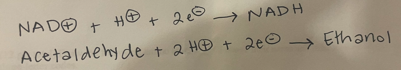 Solved Given the two reduction half-reactions NAD+ ﻿and | Chegg.com