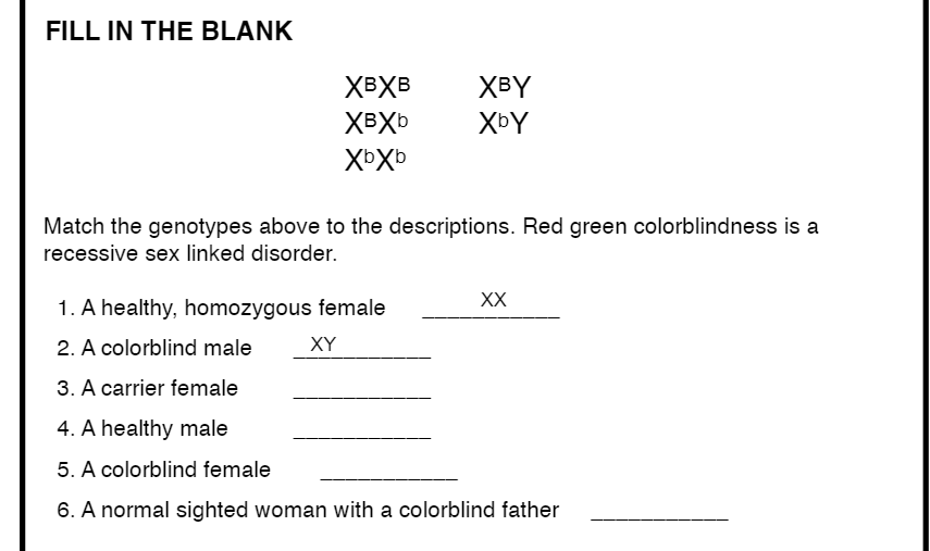 Solved FILL IN THE BLANK XBXB XBXb XbXb XBY Xby Match the | Chegg.com