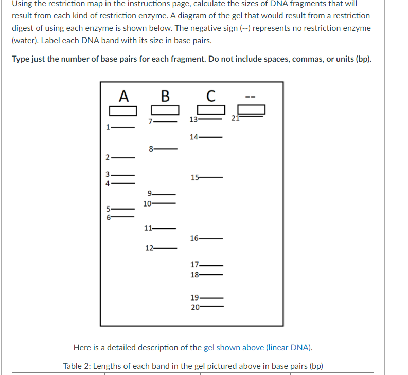 Solved Using the restriction map in the instructions page, | Chegg.com