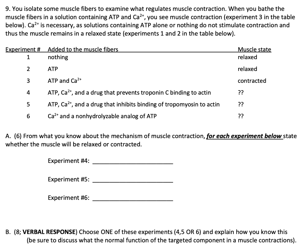 Solved 9. You isolate some muscle fibers to examine what | Chegg.com