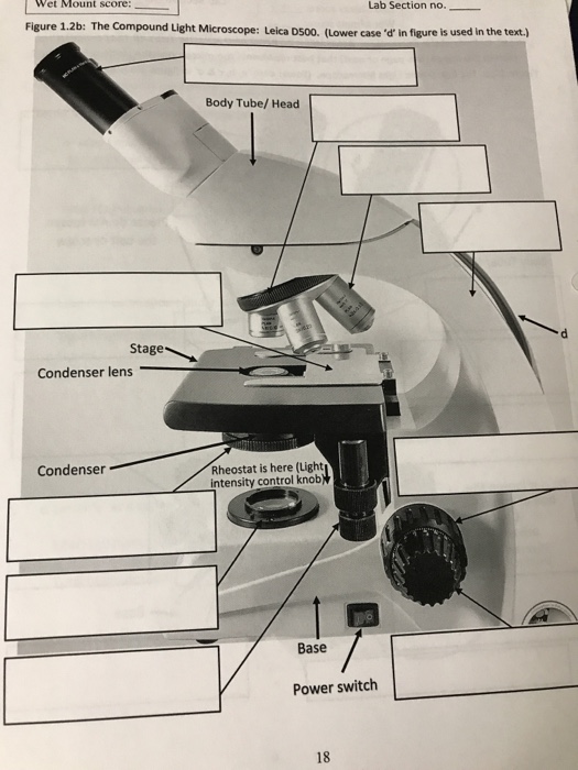 Solved Wet Mount score: Lab Section no. Light Microscope: | Chegg.com