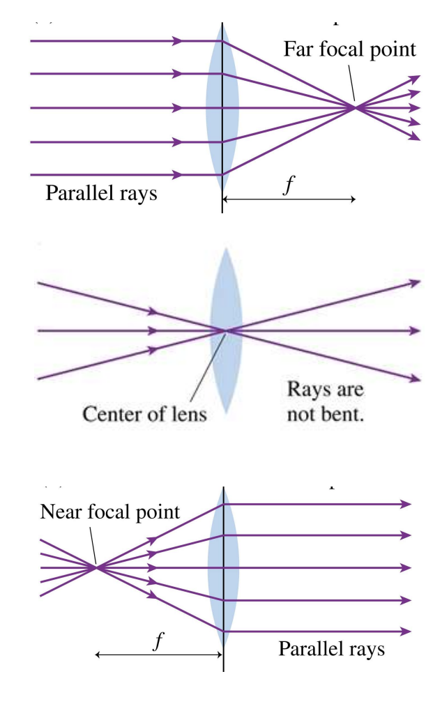 Solved Draw a scaled ray tracing diagram showing where the | Chegg.com