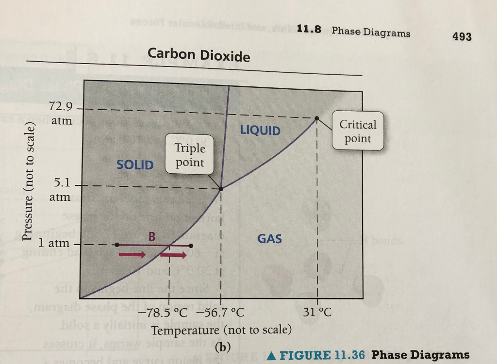 Solved In the phase diagram of CO2 (Fig 11.36b, p 493) what | Chegg.com