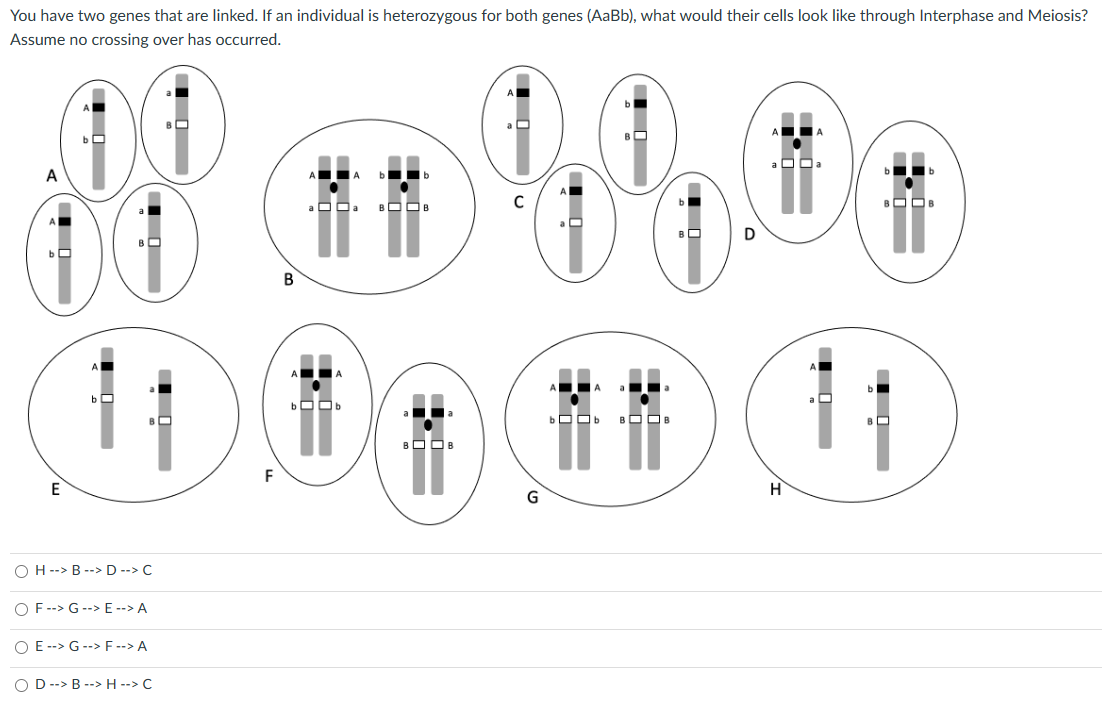Solved You have two genes that are linked. If an individual | Chegg.com