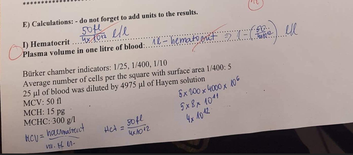 Solved E) Calculations: - do not forget to add units to the | Chegg.com