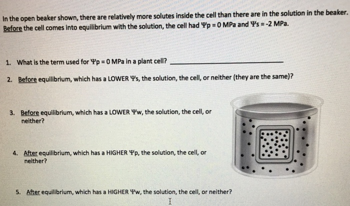 Solved In the open beaker shown, there are relatively more | Chegg.com