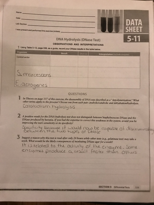 Solved Name Date Lab Section I was present and performed | Chegg.com