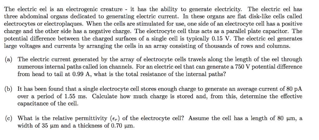 Solved The electric eel is an electrogenic creature - it has | Chegg.com