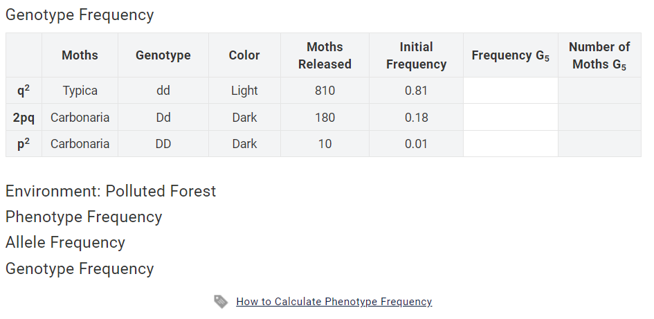 Solved Environment: Clean Forest Phenotype Frequency Allele | Chegg.com