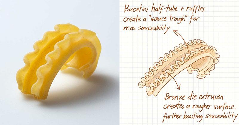 Solved 1) Dan Pashman wants to create a new pasta shape. How | Chegg.com