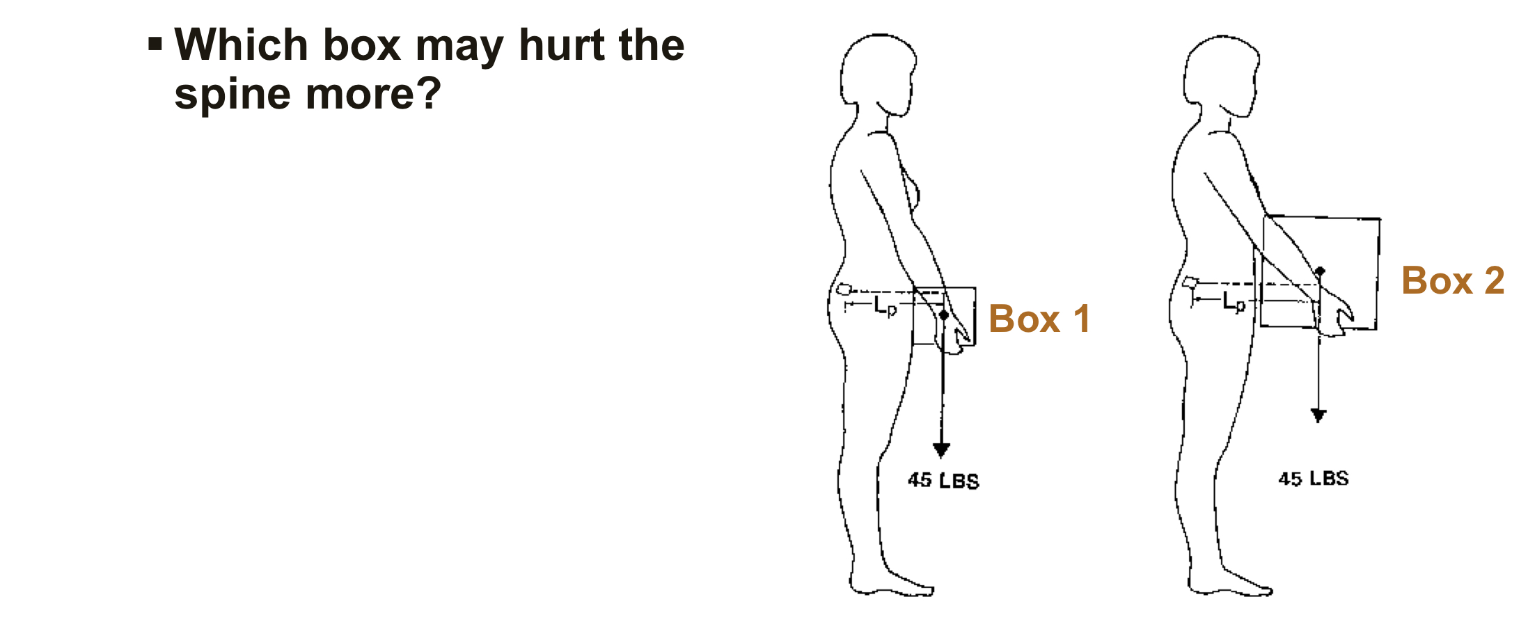 Solved - Which box may hurt the spine more? A | Box 2 Box 1 | Chegg.com