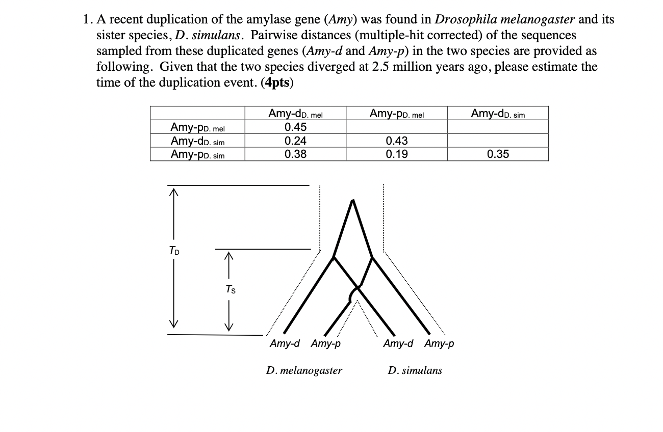 Solved 2.) Use the Relative Rate Test to test the Molecular | Chegg.com