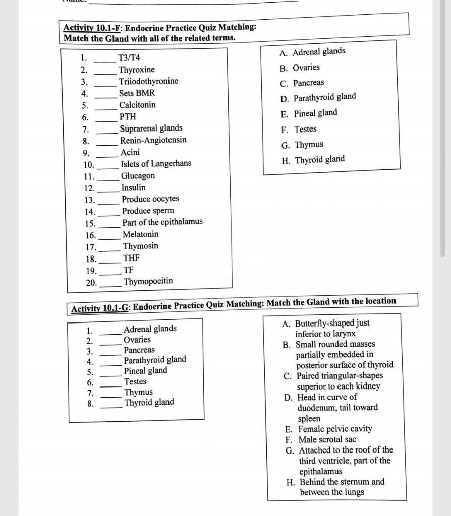 Solved Activity 10.1-F: Endocrine Practice Quiz Matching: | Chegg.com