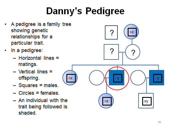 This is a pedigree or inheritance map. Circles | Chegg.com