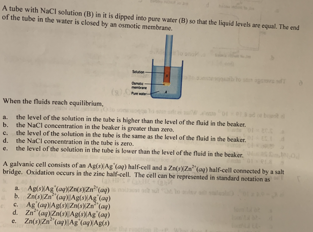 Solved a tube with NaCl solution B in it is dipped into pure | Chegg.com
