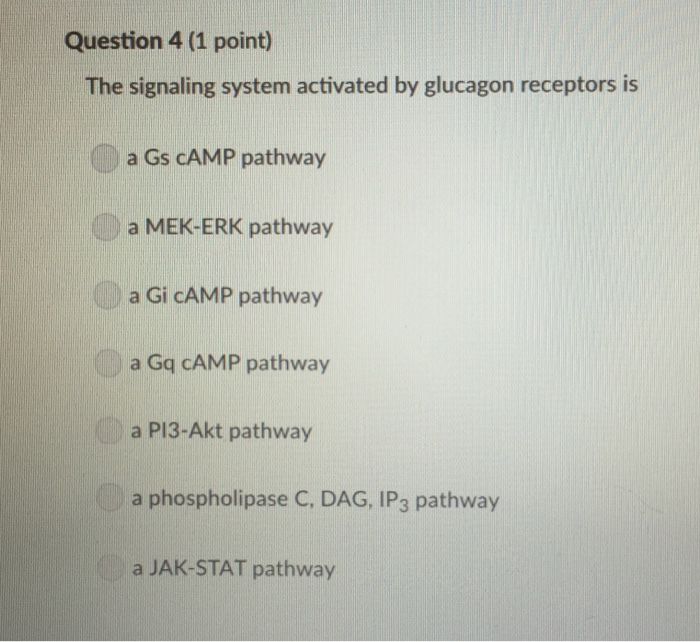 Solved Question 4 (1 point) The signaling system activated | Chegg.com