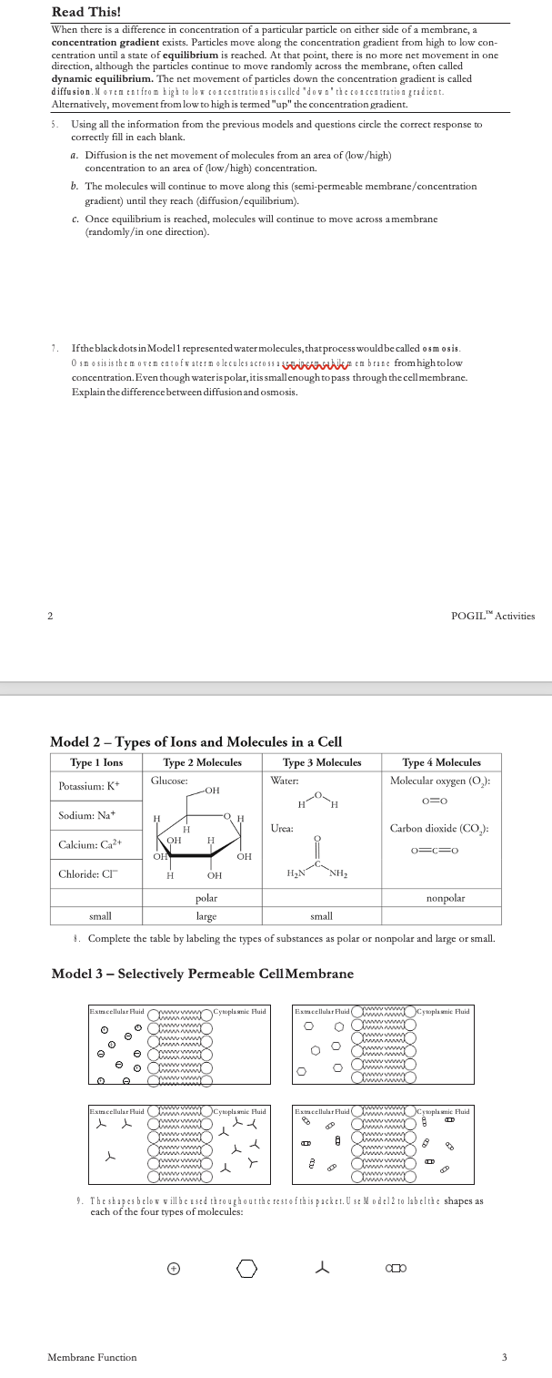 Solved The Selectively Permeable Cell Membrane How do | Chegg.com