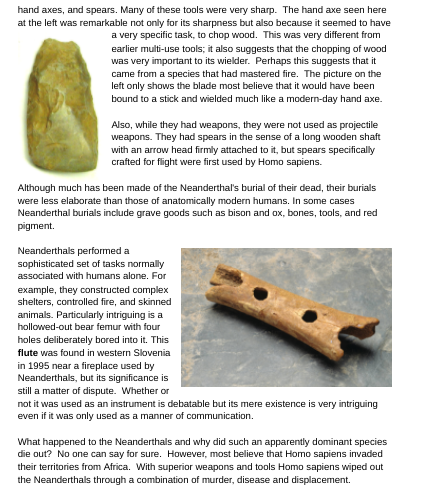 Homo Neanderthalensis The Neanderthal man is the | Chegg.com