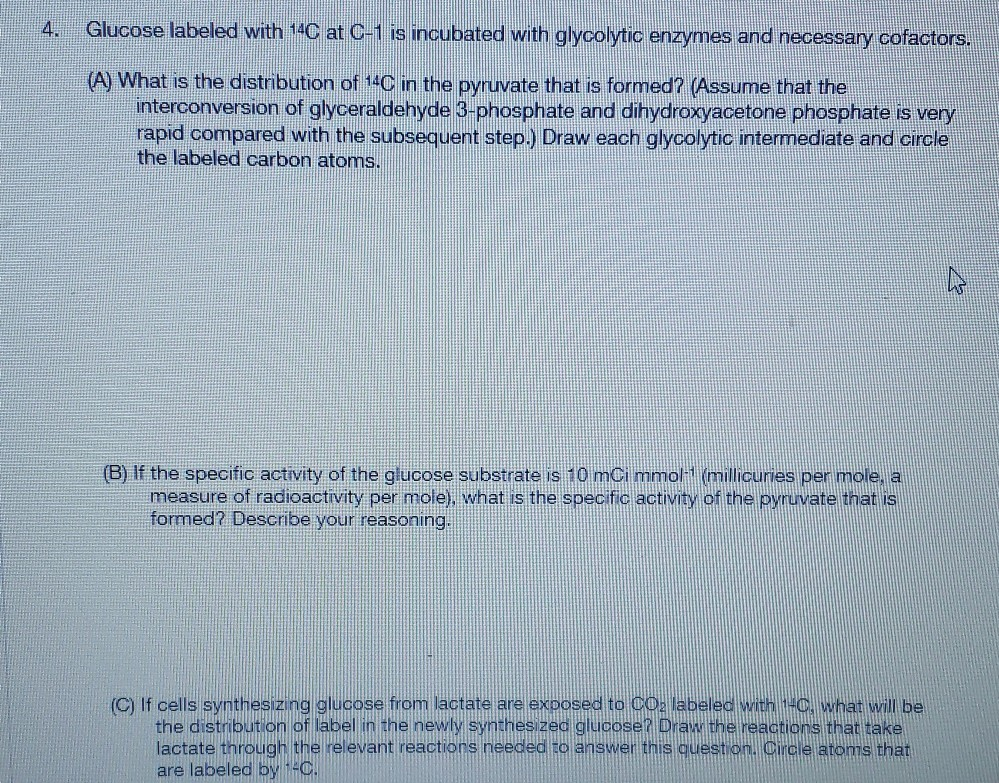 Solved Glucose labeled with 14C at C-1 is incubated with | Chegg.com