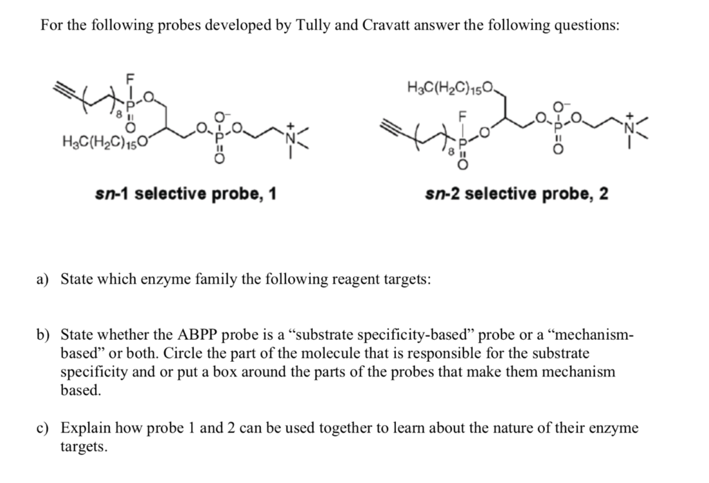 State whether the ABPP probe is a “substrate | Chegg.com