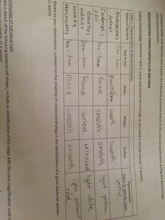 Solved Complete tables and sketches and answer the following | Chegg.com