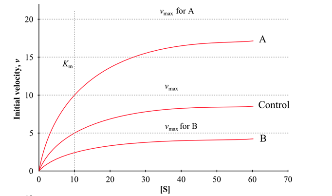 Solved Varying the amount of enzyme or adding an inhibitor | Chegg.com