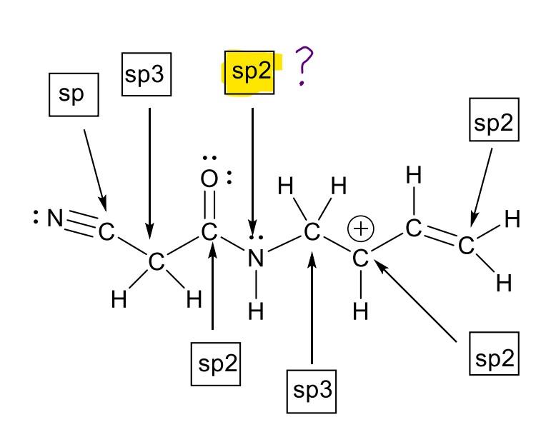 Solved sp3 sp2? sp sp2 H H H :NEC + C=C H Z-I H H Н. H sp2| | Chegg.com