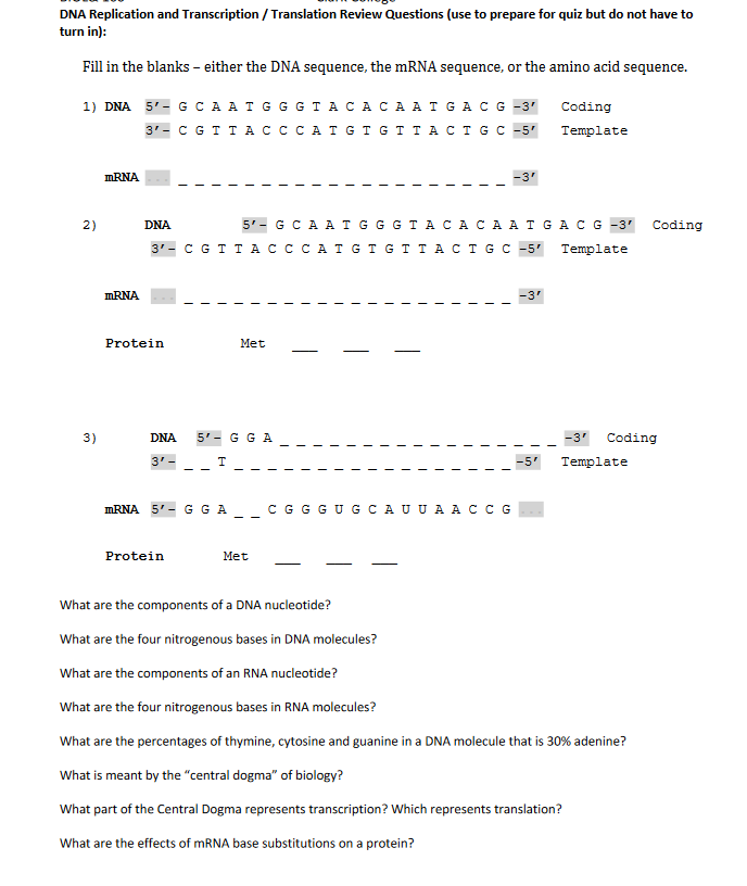Solved Part 2: Protein Synthesis - Transcription and | Chegg.com