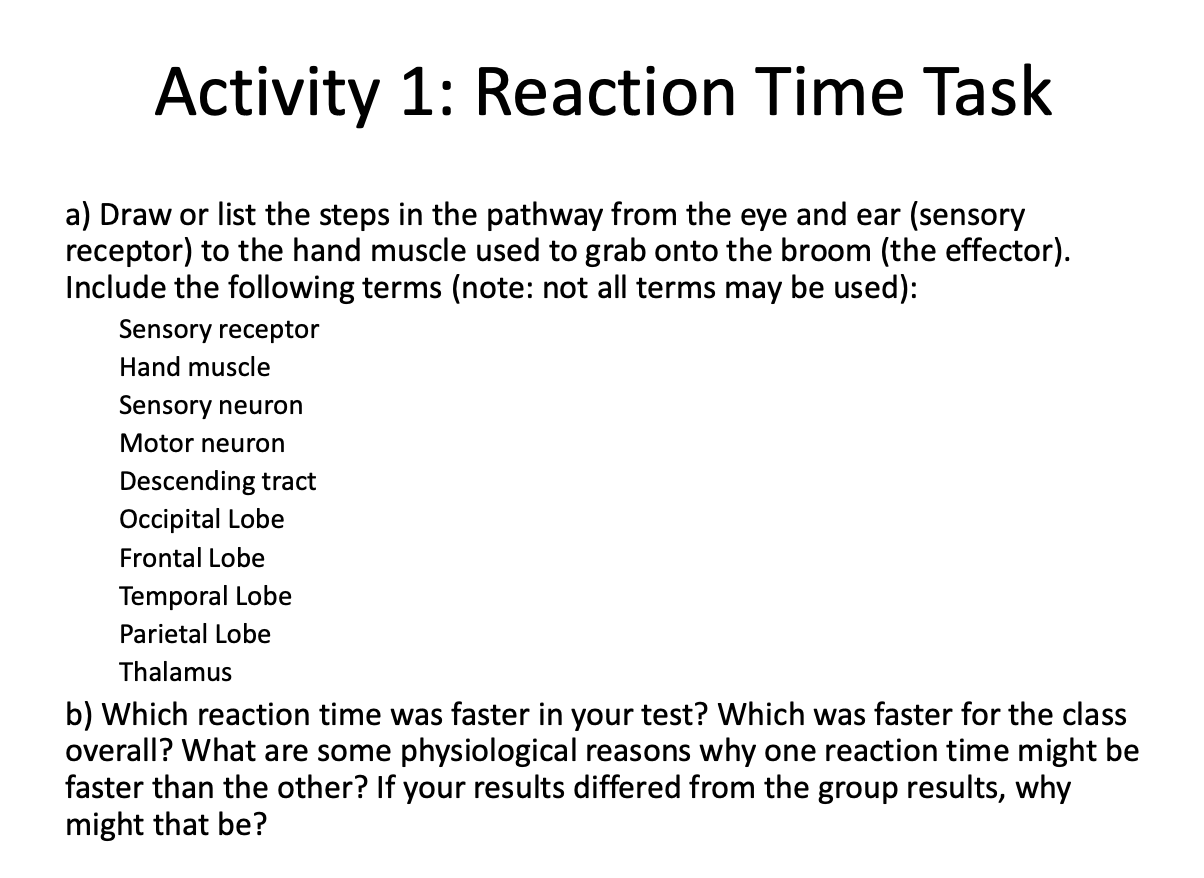 Solved Activity 1: Reaction Time Task a) Draw or list the | Chegg.com