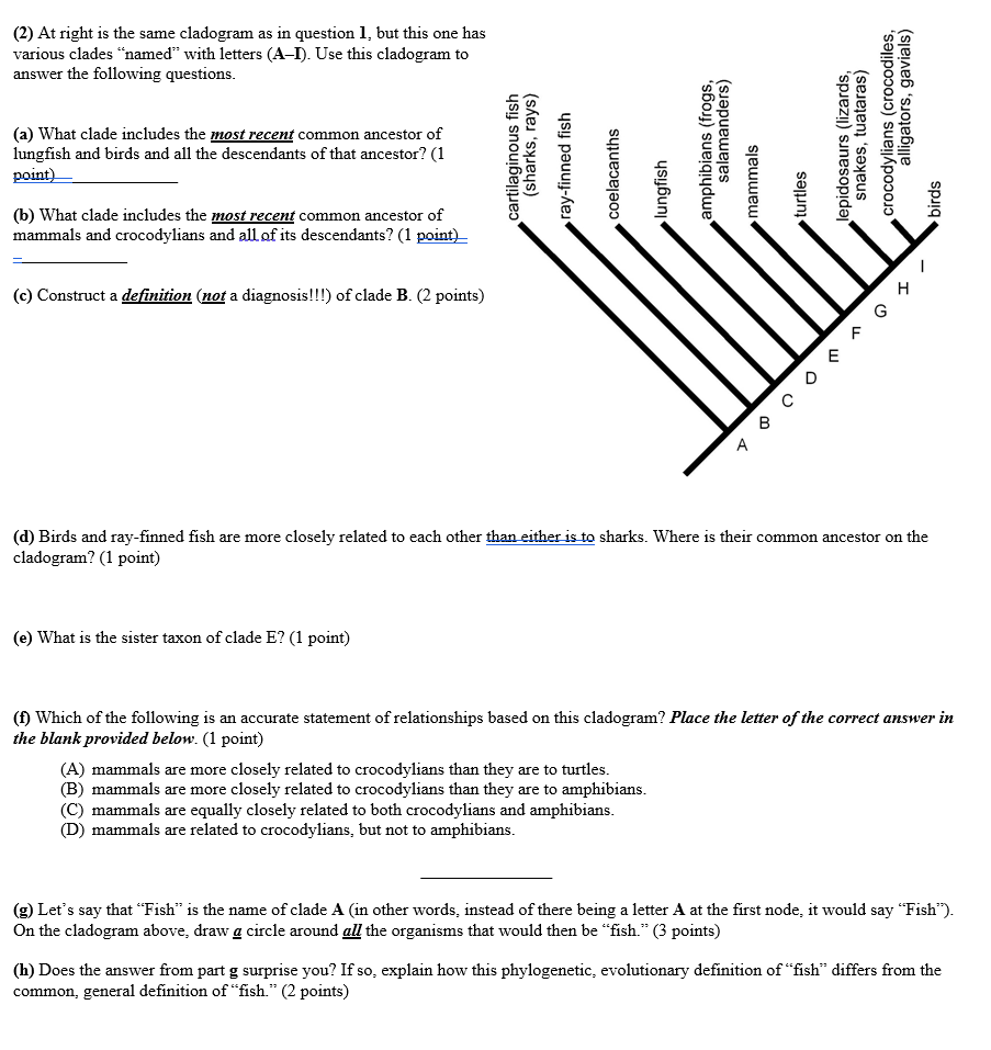 Solved (2) ﻿At right is the same cladogram as in question | Chegg.com