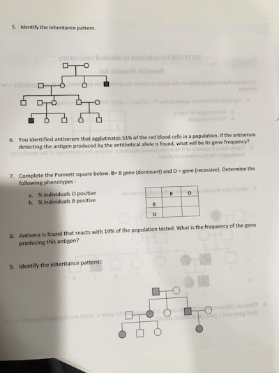 Solved 5. Identify the inheritance pattern O 6. You | Chegg.com