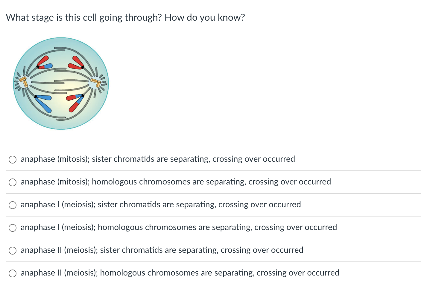 Solved What stage is this cell going through? How do you | Chegg.com