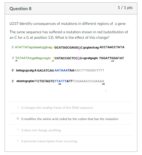 Solved LO37 Identify consequences of mutations in different | Chegg.com