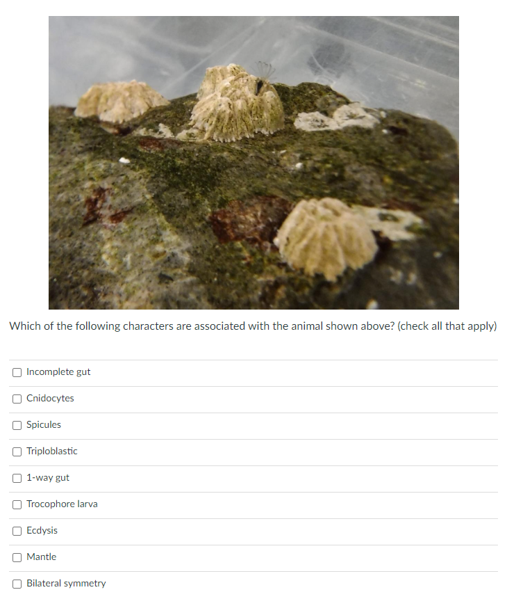 Solved Which of the following characters are associated with | Chegg.com