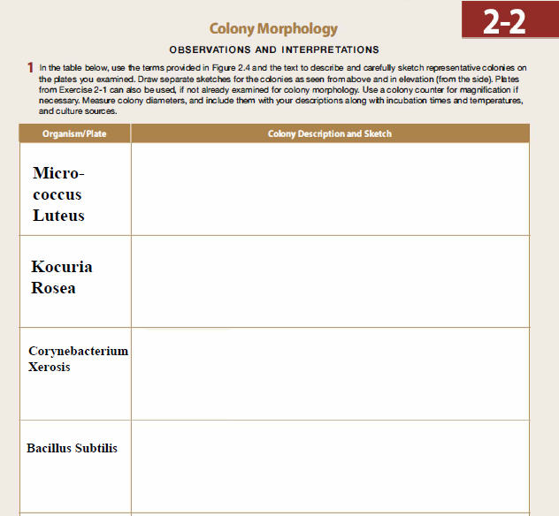 Solved OBSERVATIONS AND INTERPRETATIONS 1 In the table | Chegg.com