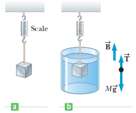 Solved Figure (a) below shows a solid cube hanging from a | Chegg.com