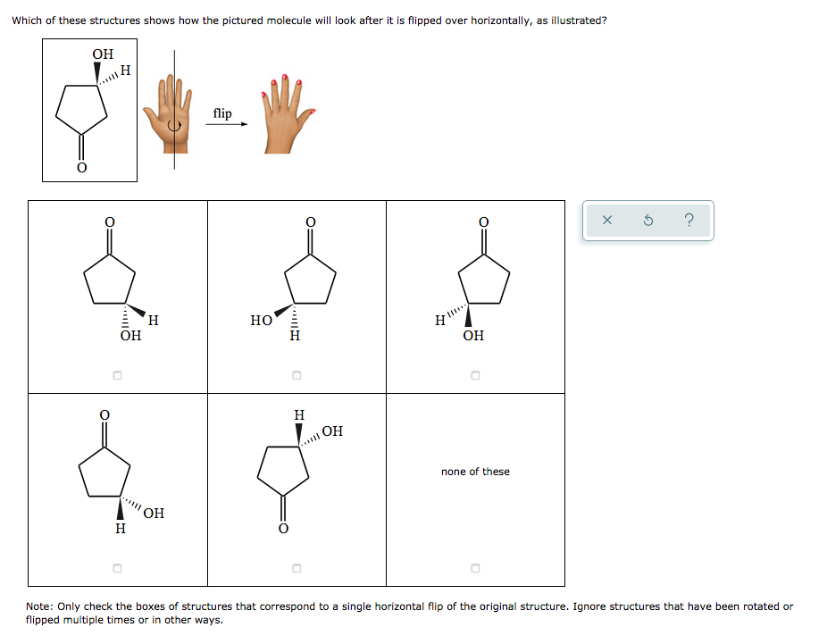 Solved Which of these structures shows how the pictured | Chegg.com