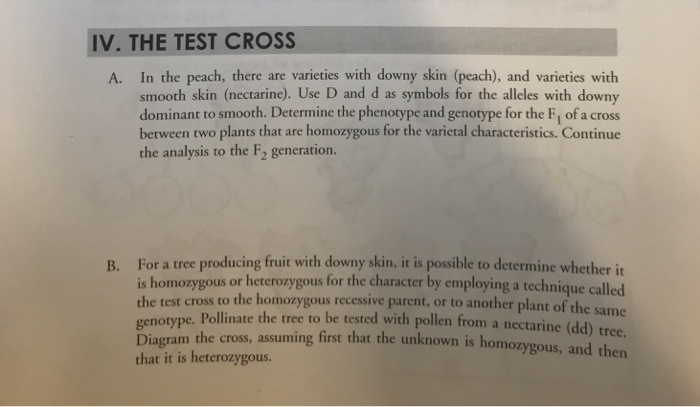 Solved IV. THE TEST CROSS In the peach, there are varieties | Chegg.com