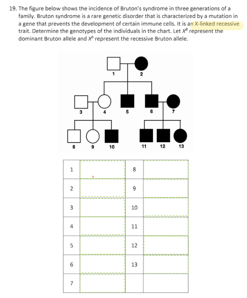 Solved 19. The figure below shows the incidence of Bruton's | Chegg.com