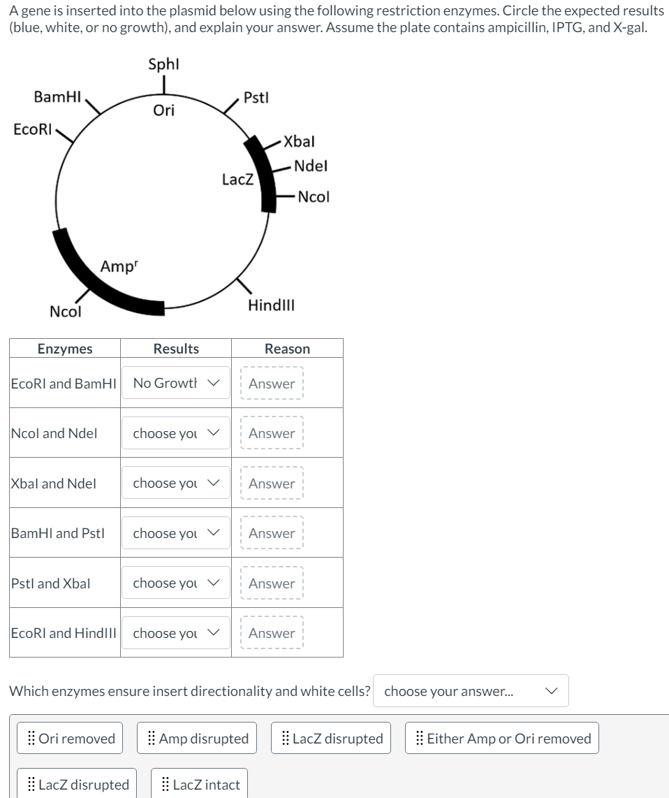 Solved I dont understand how to read this chart, can you | Chegg.com