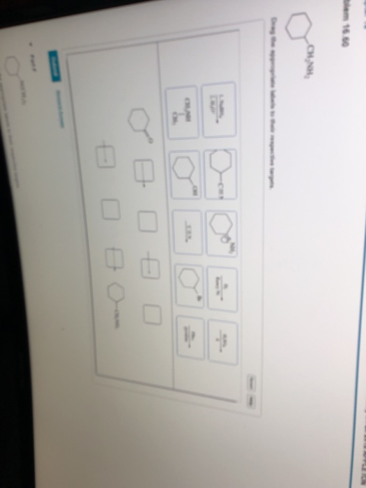 Solved N(CH3 2 Drag the appropriate labels to their | Chegg.com