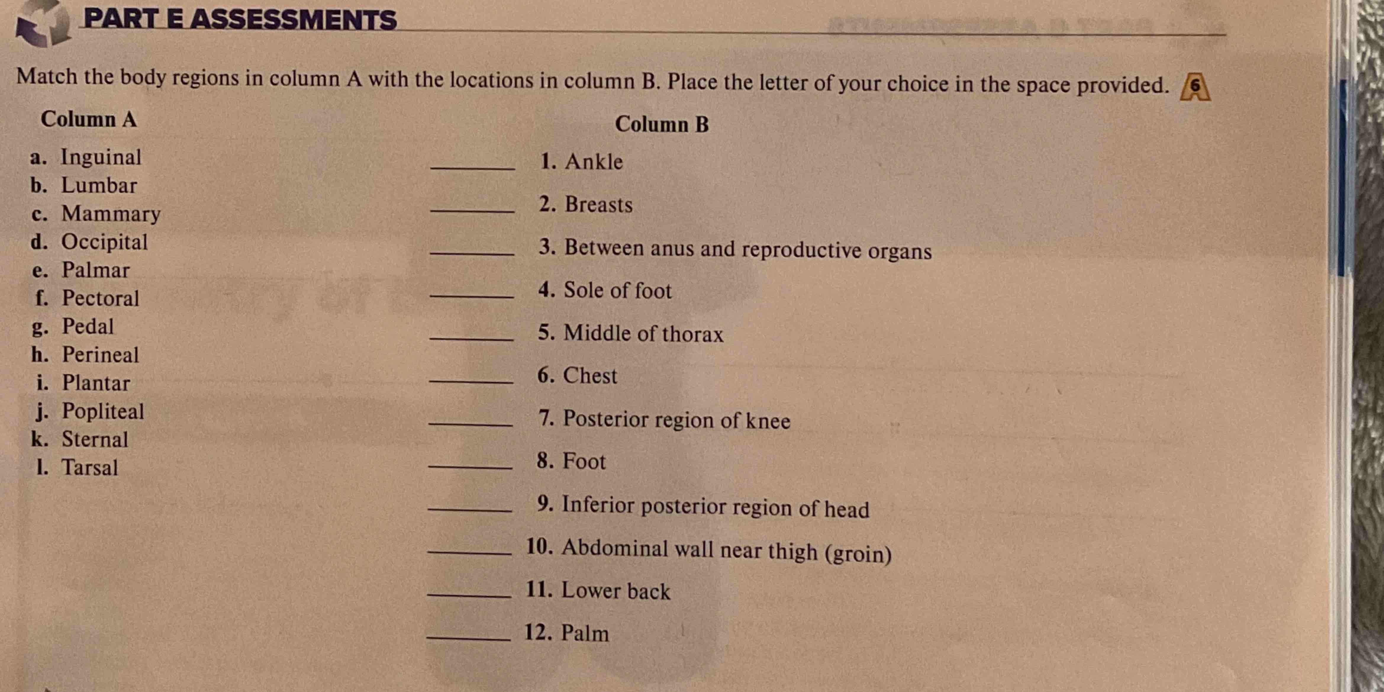 PART E ASSESSMENTSMatch the body regions in column A | Chegg.com PART E ASSESSMENTSMatch the body regions in column A | Chegg.com