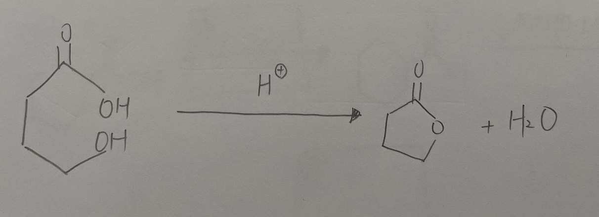 Solved H⊕+H2O | Chegg.com