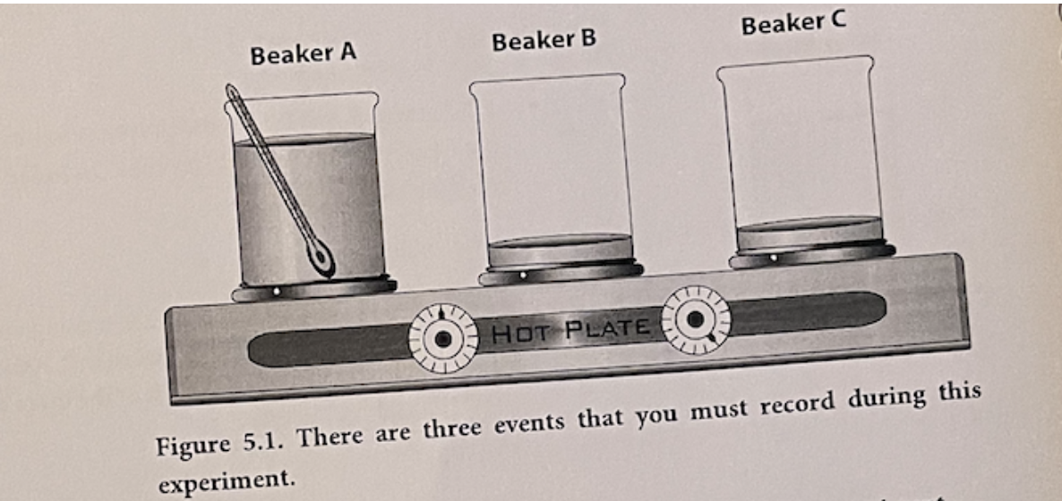 Beaker C Beaker B Beaker A HOT PLATE Figure 5.1. | Chegg.com