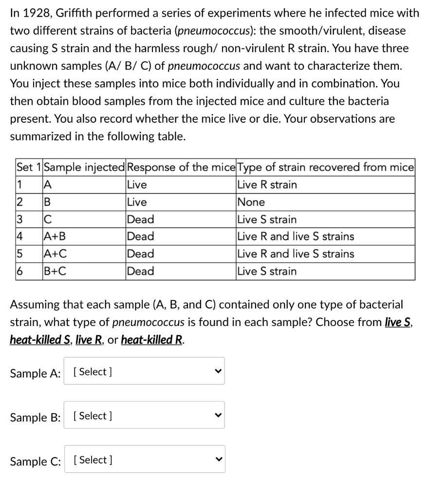 Solved In 1928, Griffith performed a series of experiments | Chegg.com
