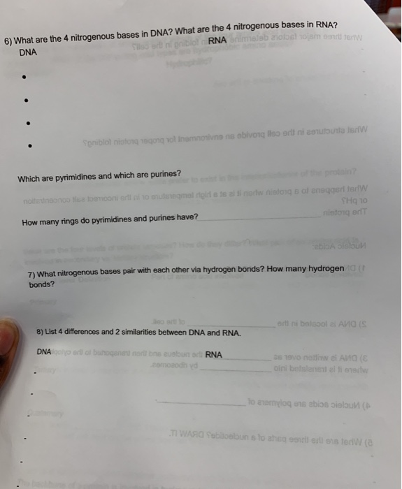 Solved 6) What are the 4 nitrogenous bases in DNA? What are | Chegg.com