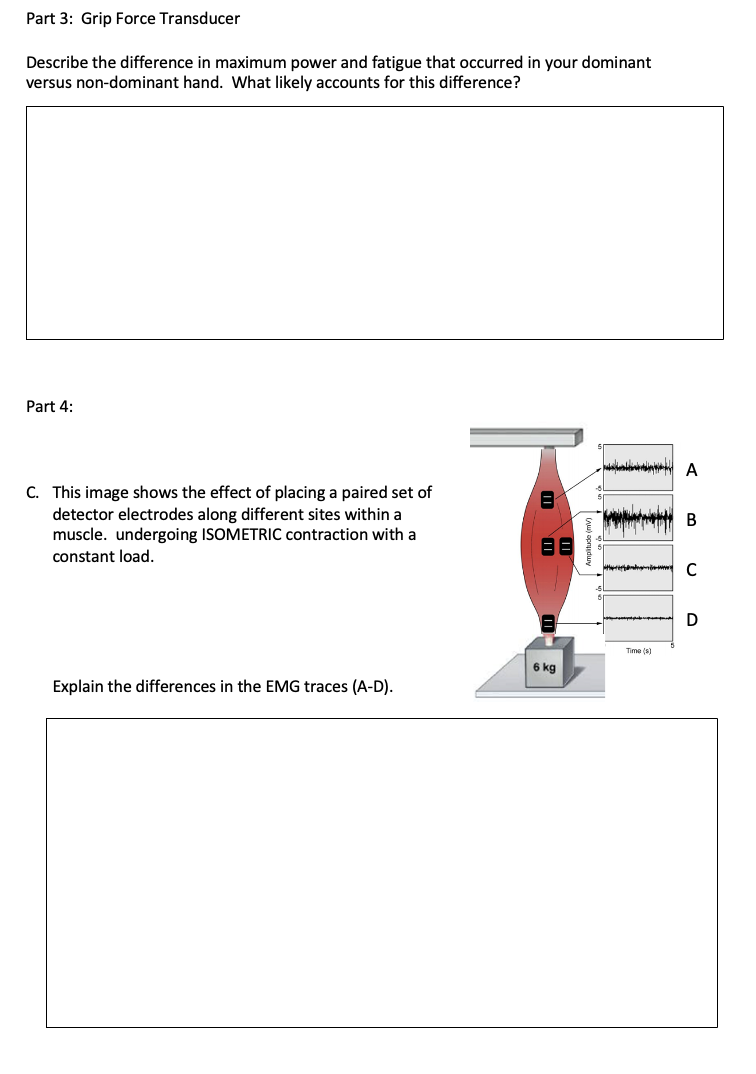 Part 3: Grip Force Transducer Describe the difference | Chegg.com