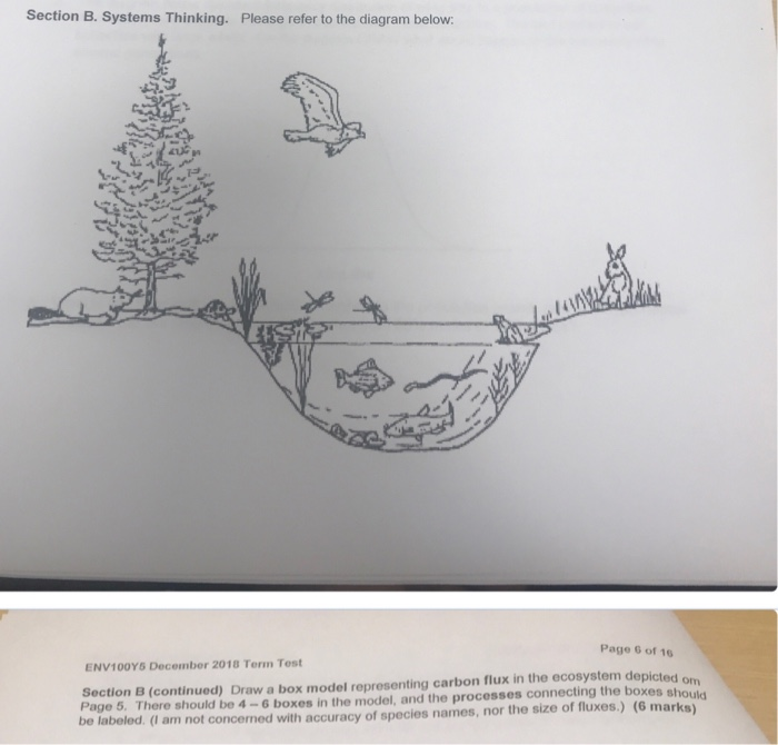 How To Draw An Ecosystem - Baseballprince20